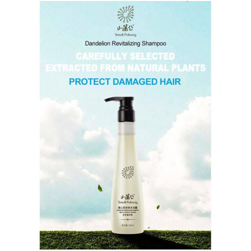 Dandelion Revitalizing Shampoo + Dandelion Revitalizing Conditioner ...